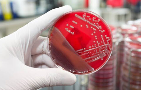 The Importance of a Positive Release Program - KLM HIGH-giene Solutions